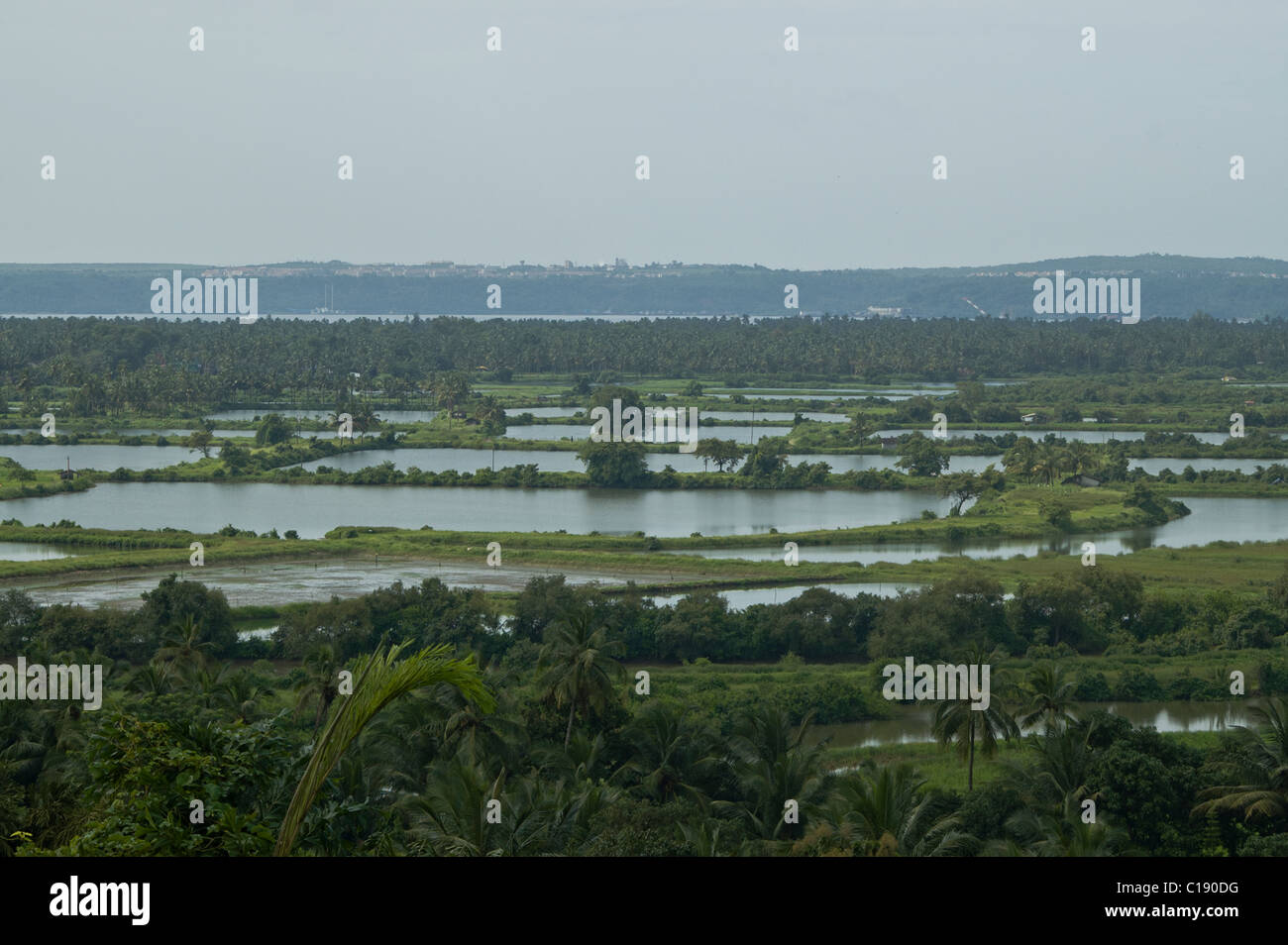 Goan landscape hi-res stock photography and images - Alamy