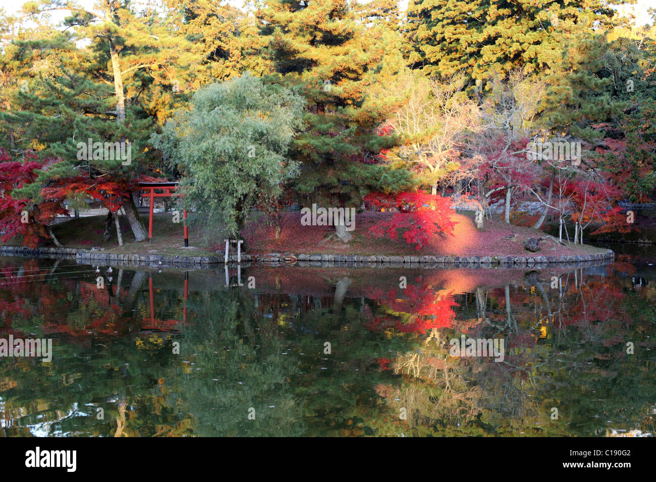 Lake in Nara Koen park, Nara, Honshu, Japan Stock Photo - Alamy
