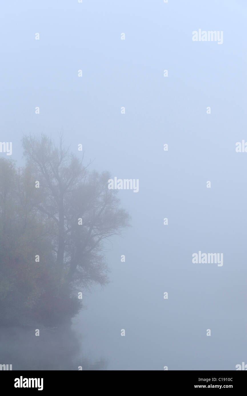 Fog over pond in autumn Stock Photo - Alamy