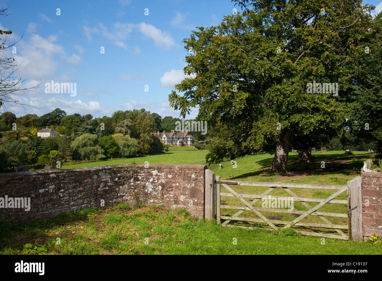 Cows graze on english meadows surrounding Pitchford Hall Elizabethan ...