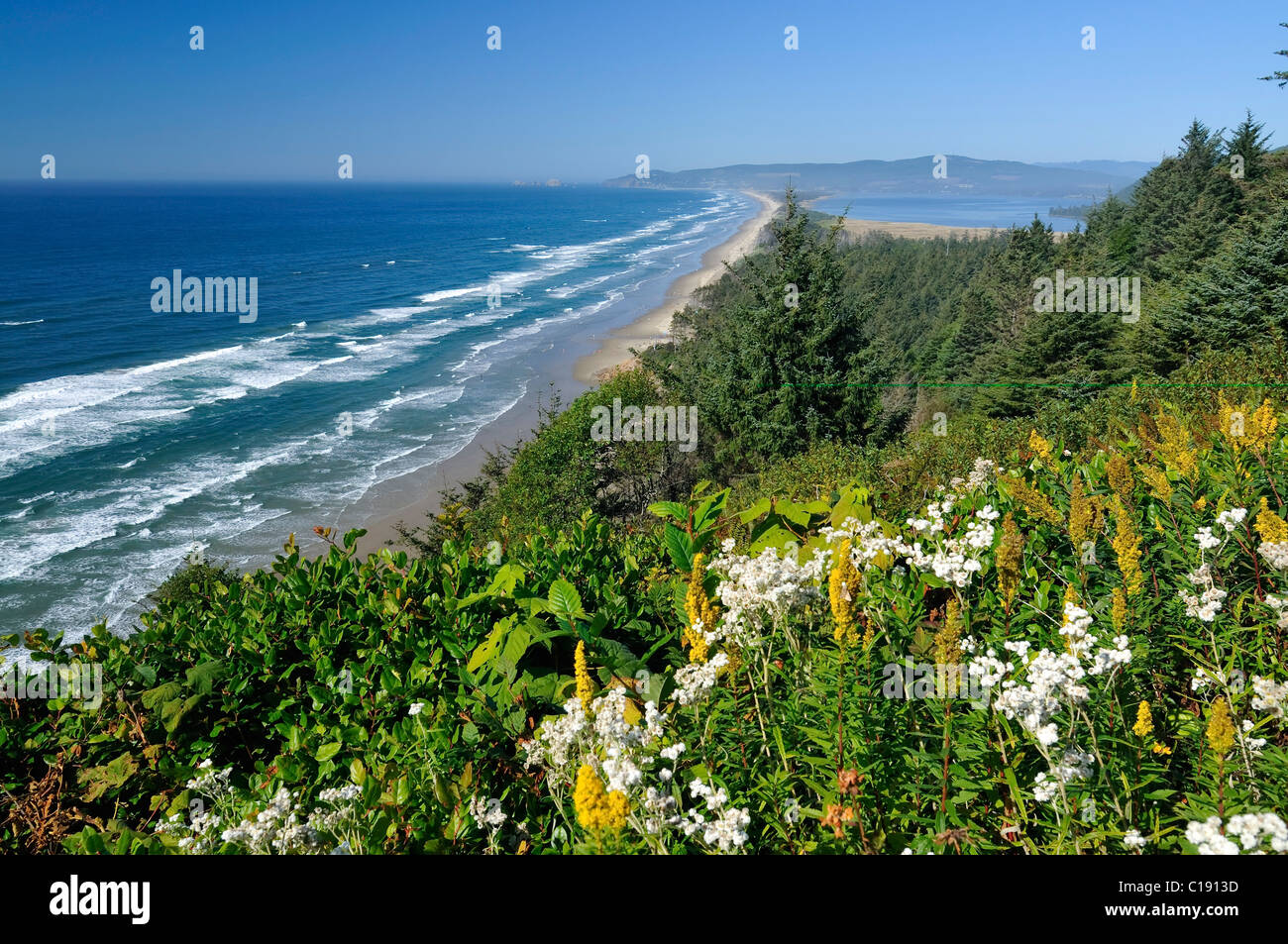 Netarts Bay, Cape Lookout State Park, Oregon, USA, North America Stock ...