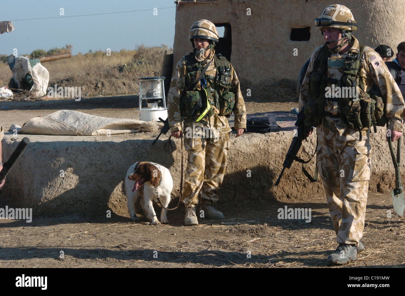 Army veterinary hi-res stock photography and images - Alamy