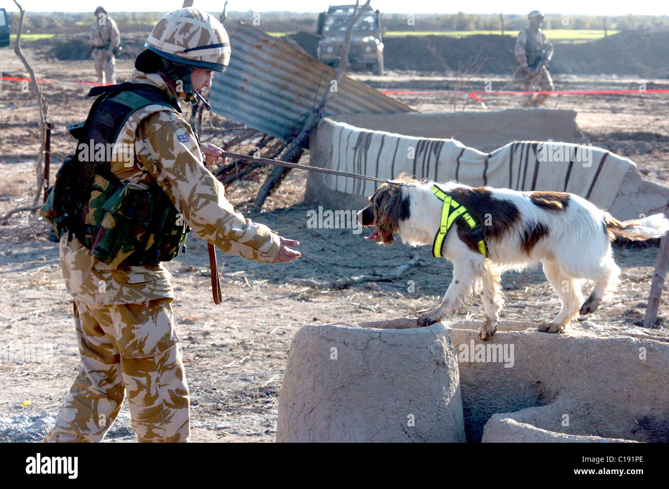 Trained explosive dog hi-res stock photography and images - Alamy