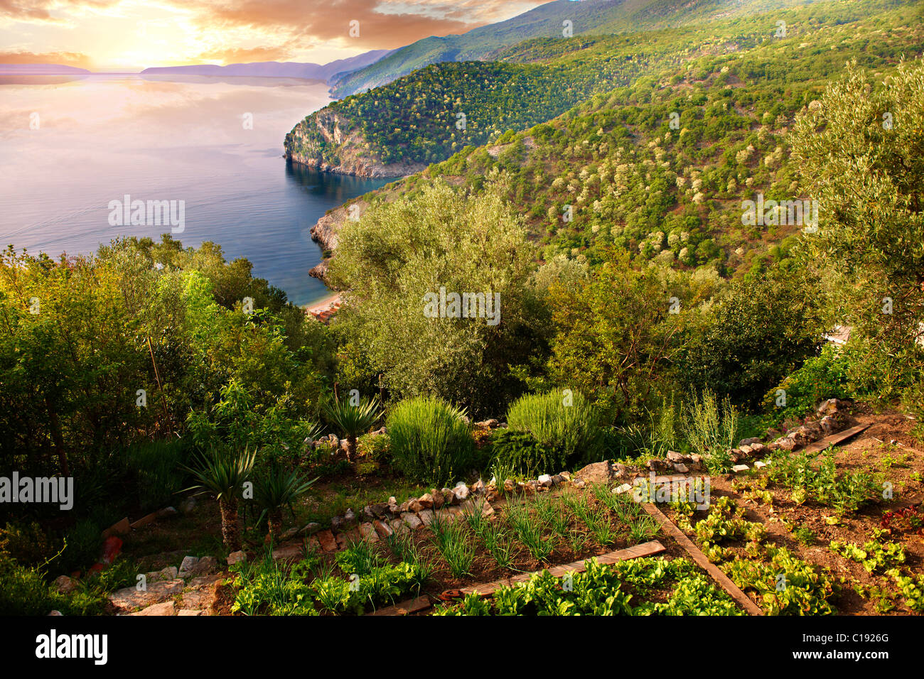 Hill overlooking the town hi-res stock photography and images - Alamy