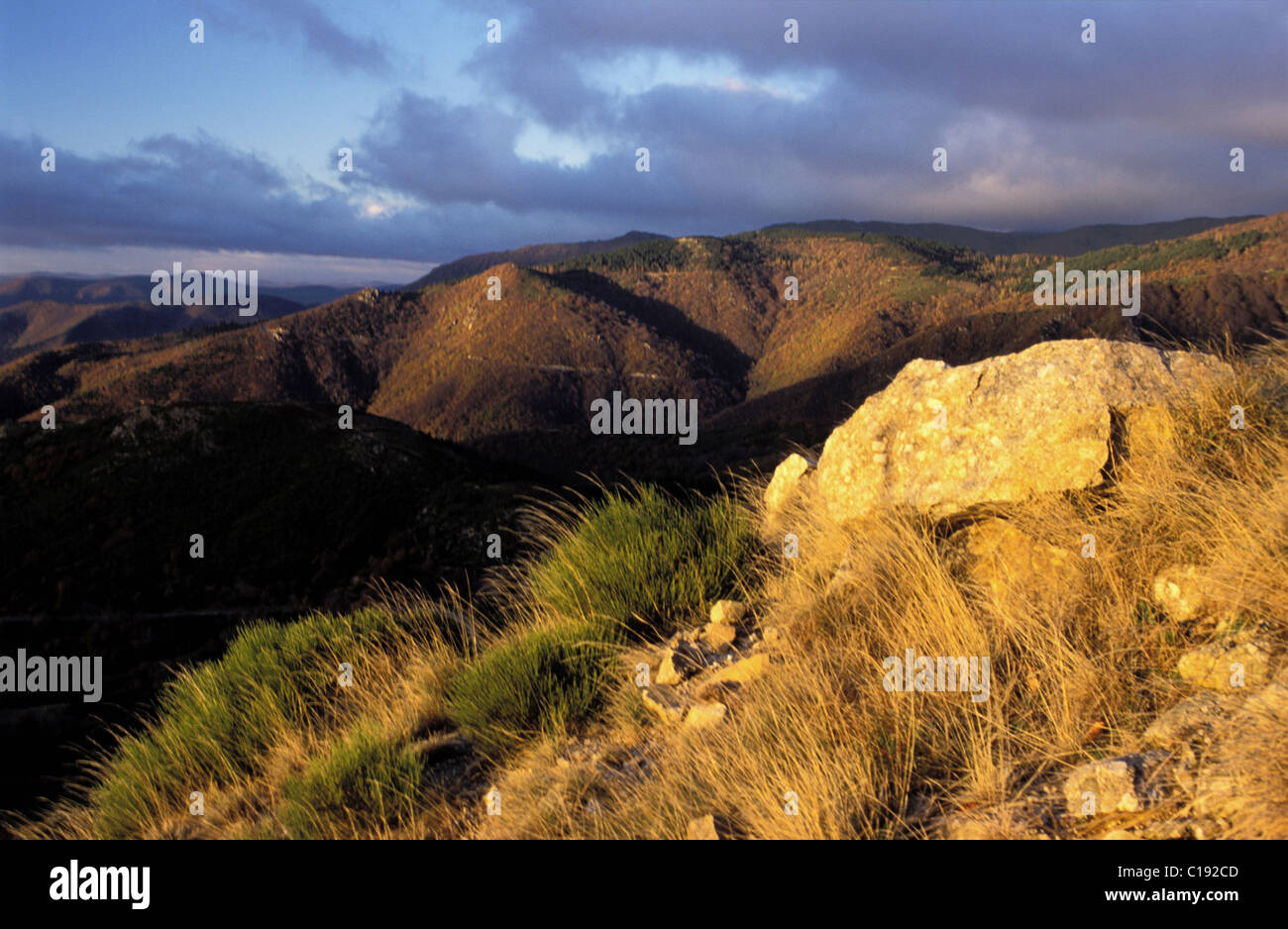 France, Gard, Cevennes national park, listed as Biosphere Reserve by ...