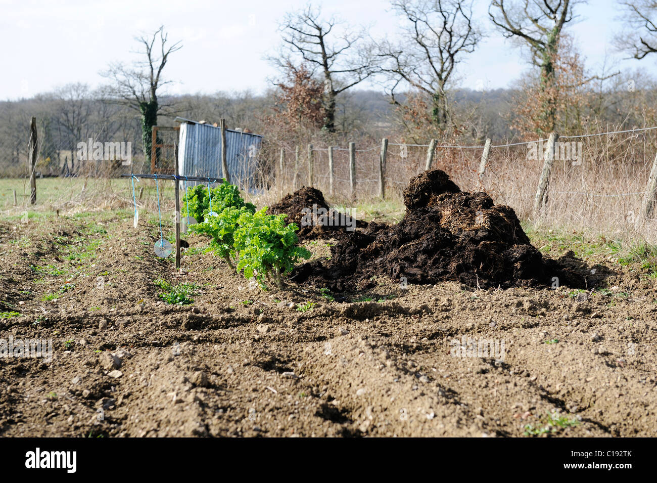 Pile of manure hi-res stock photography and images - Alamy