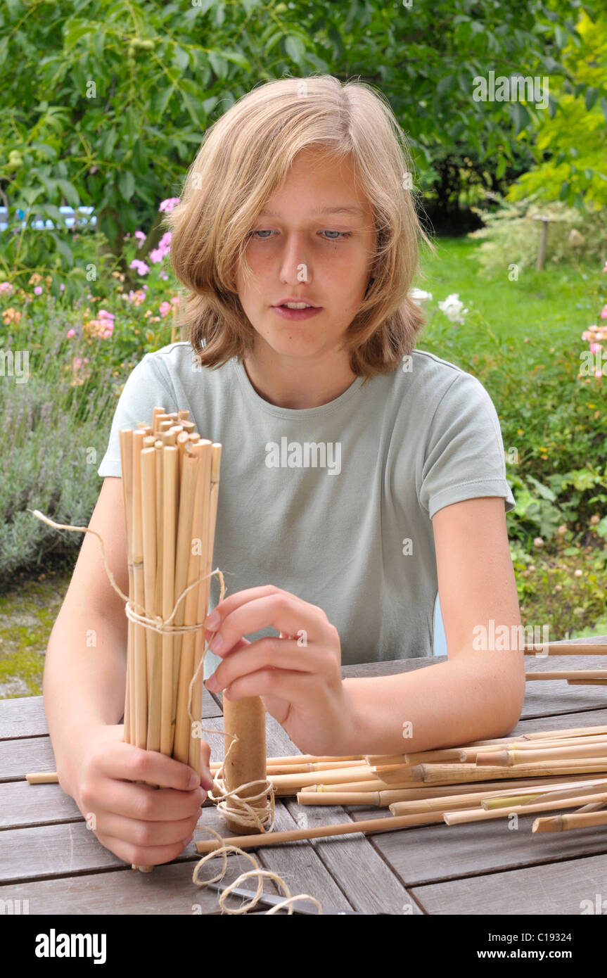 Insect for kids hi-res stock photography and images - Alamy