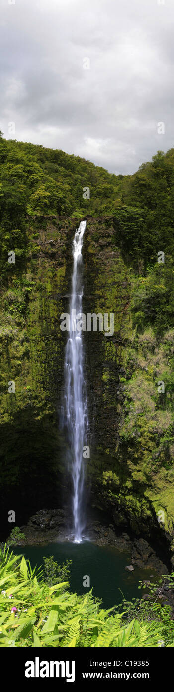Akaka Falls, Akaka Falls State Park, near Hilo, Big Island, Hawai'i ...