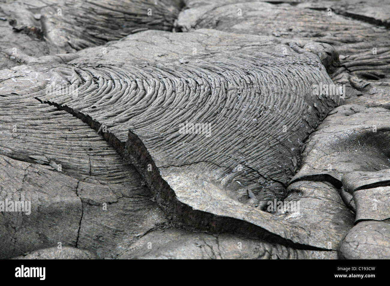 Surface of Pahoehoe formed lava, Eastern Rift Zone, Kilauea Volcano ...