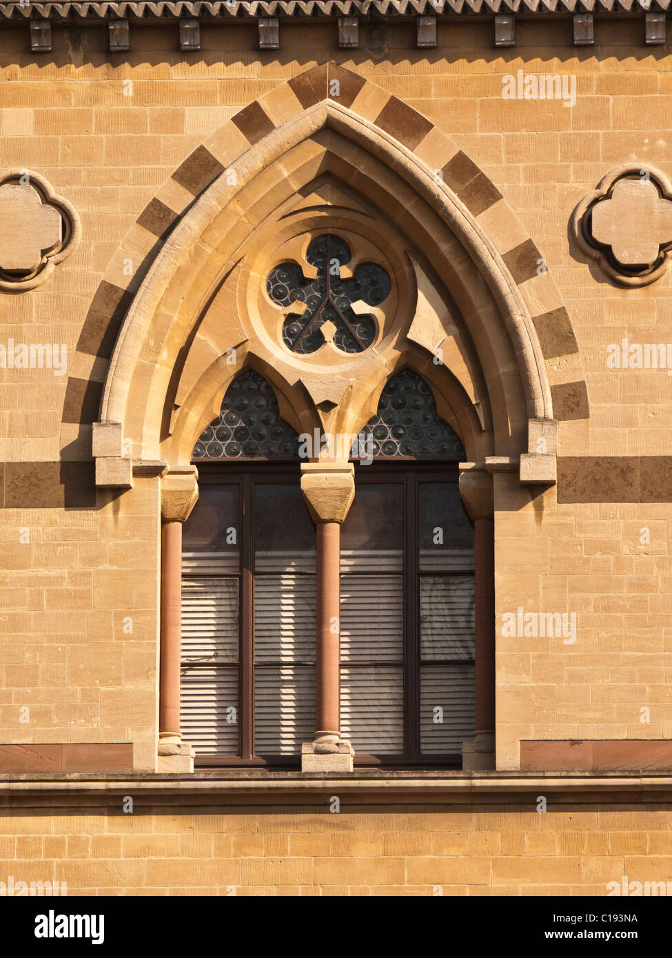 Natural history museum windows hi-res stock photography and images - Alamy