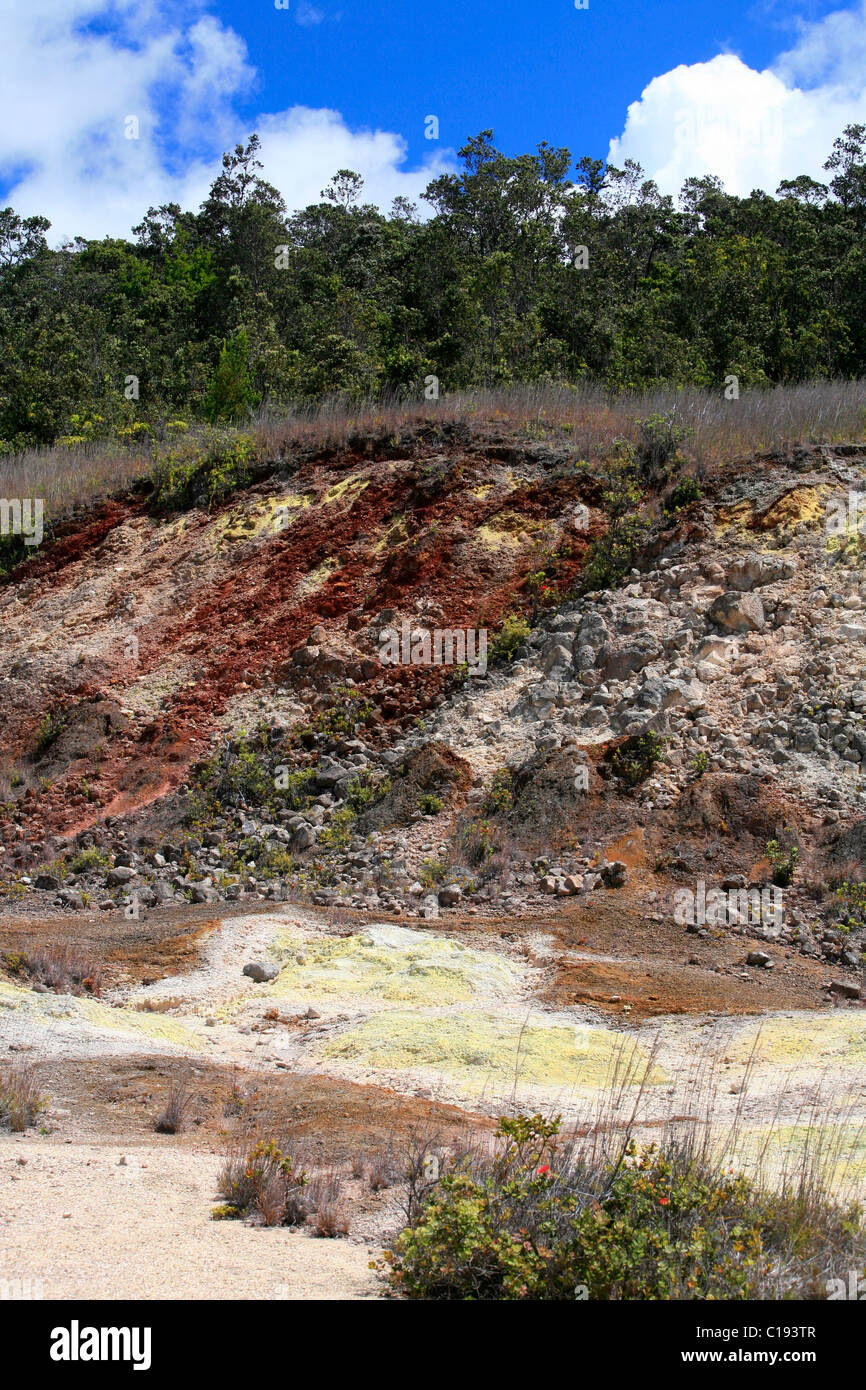 Sulfur fumaroles in the Volcanoes National Park, Kilauea Volcano, Big ...