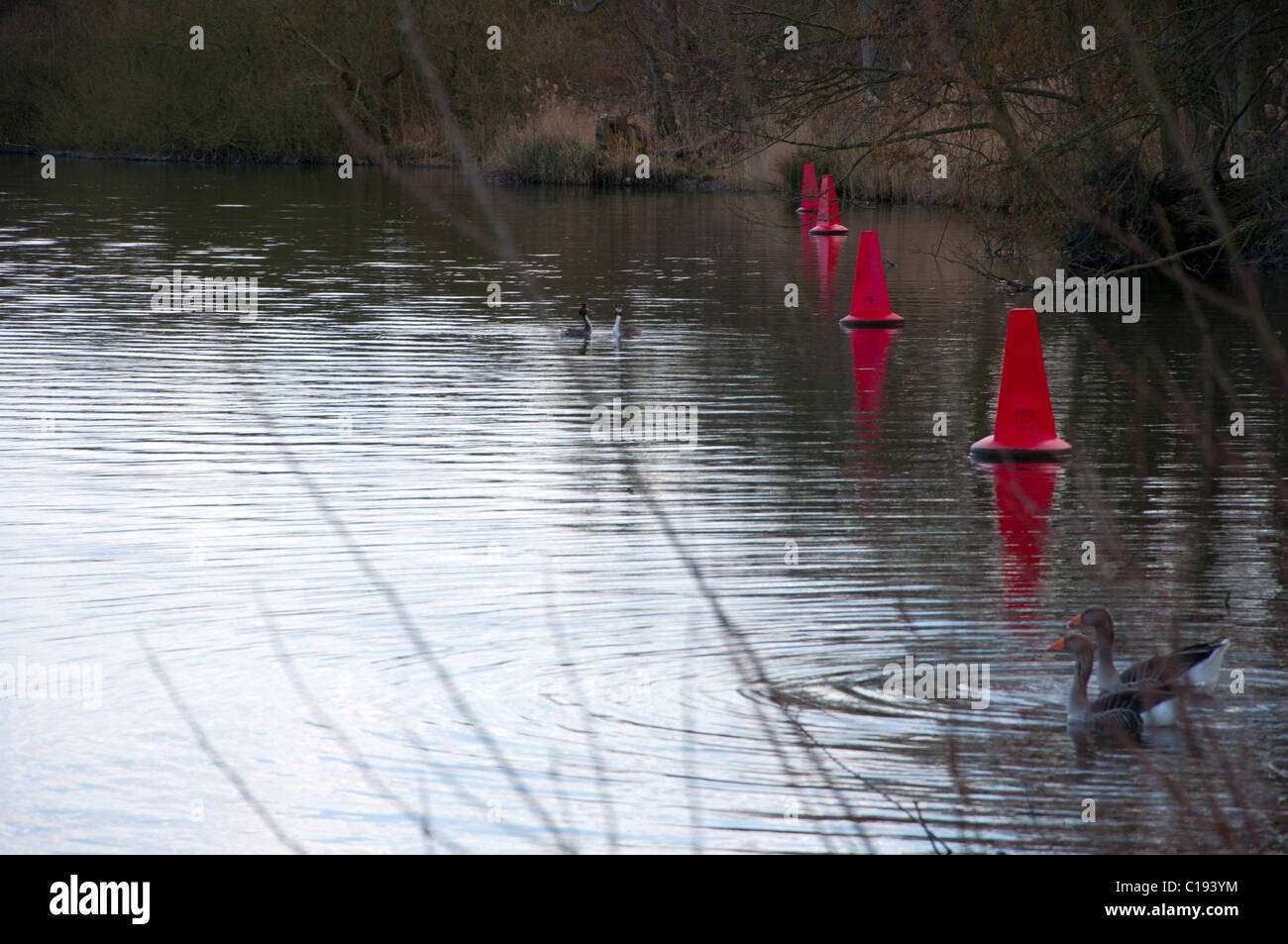 restricted mooring floating traffic cones used on Norfolk Broads Stock ...