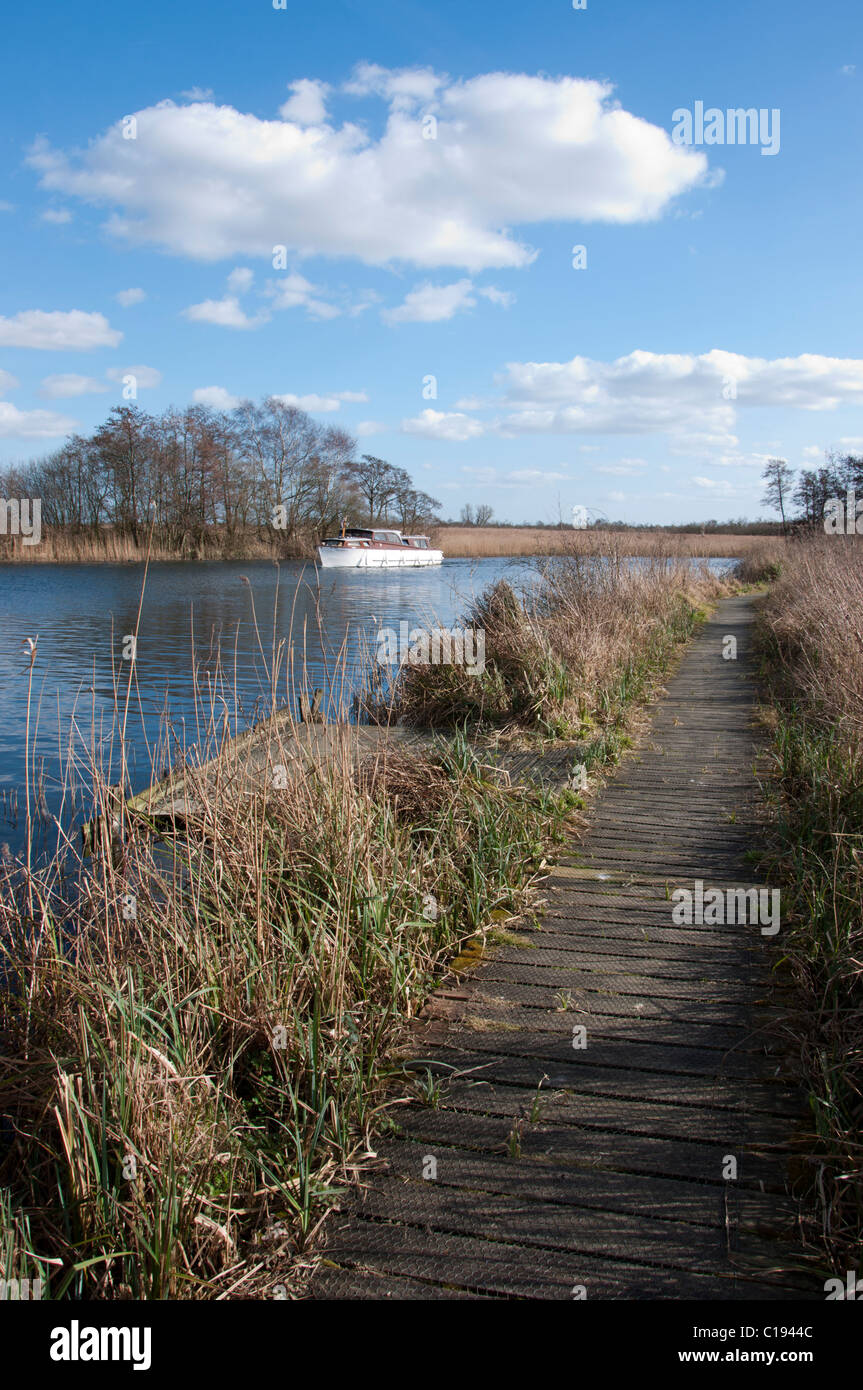Board walk along the River Bure Norflok Broads Stock Photo - Alamy