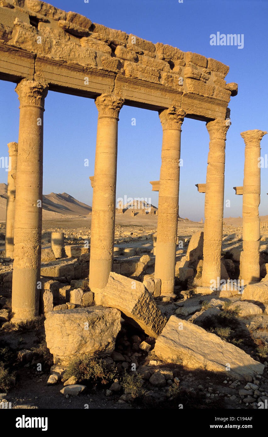 Palmyre temple hi-res stock photography and images - Alamy