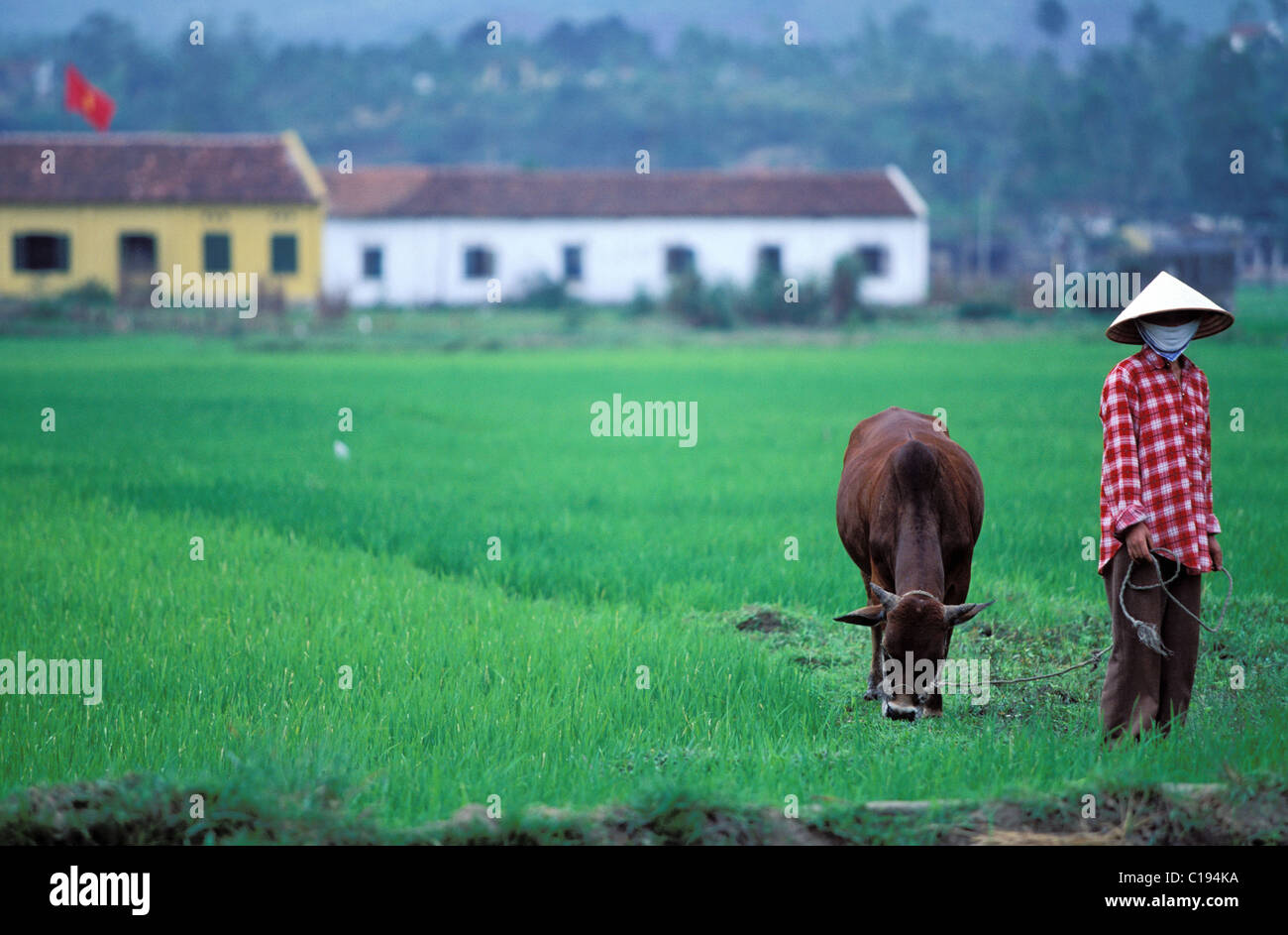 Vietnam, Hanoi province, Ha Long area Stock Photo - Alamy