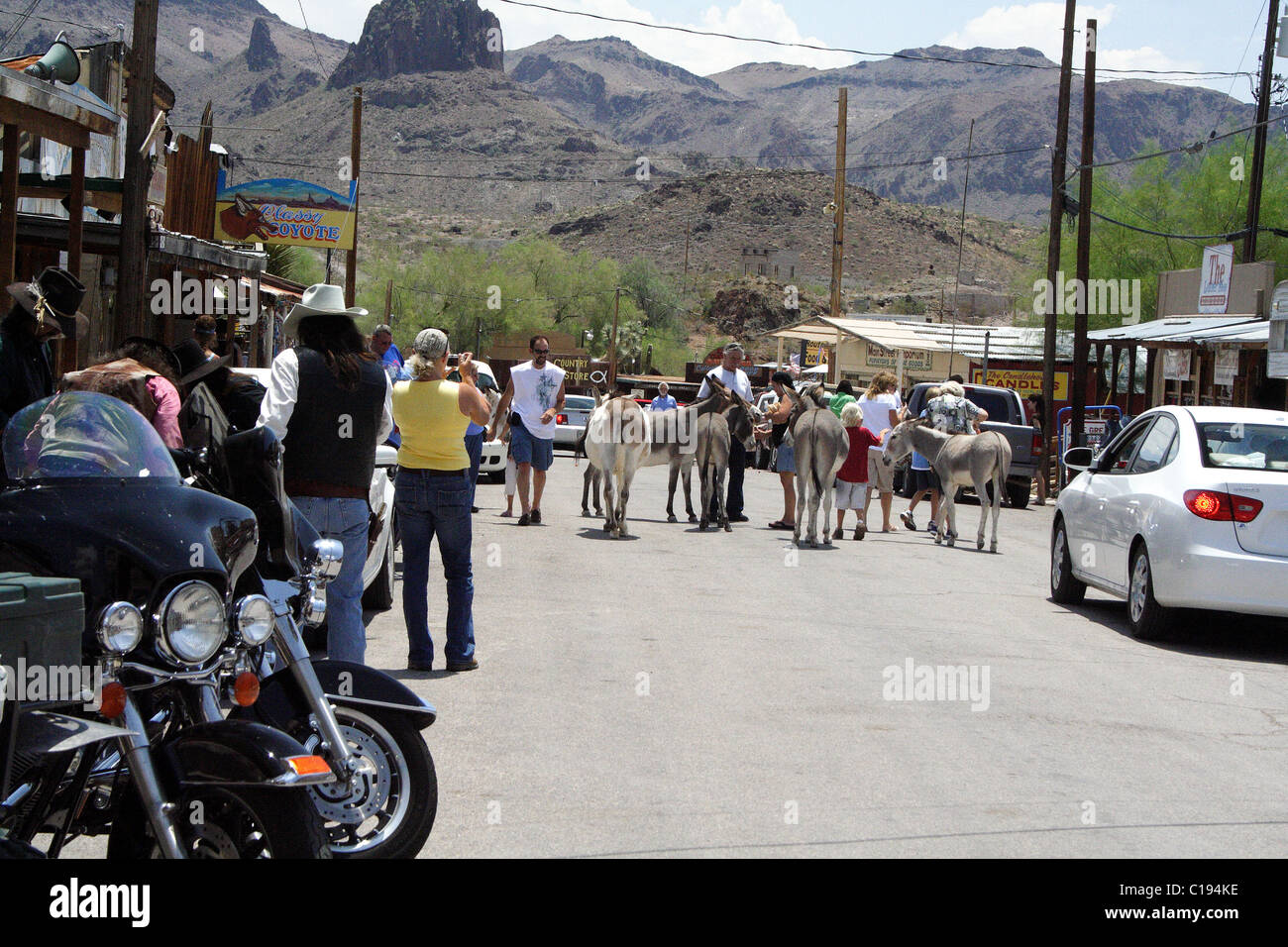 Burros wander amongst the tourists in Oatman, an old gold mining town ...
