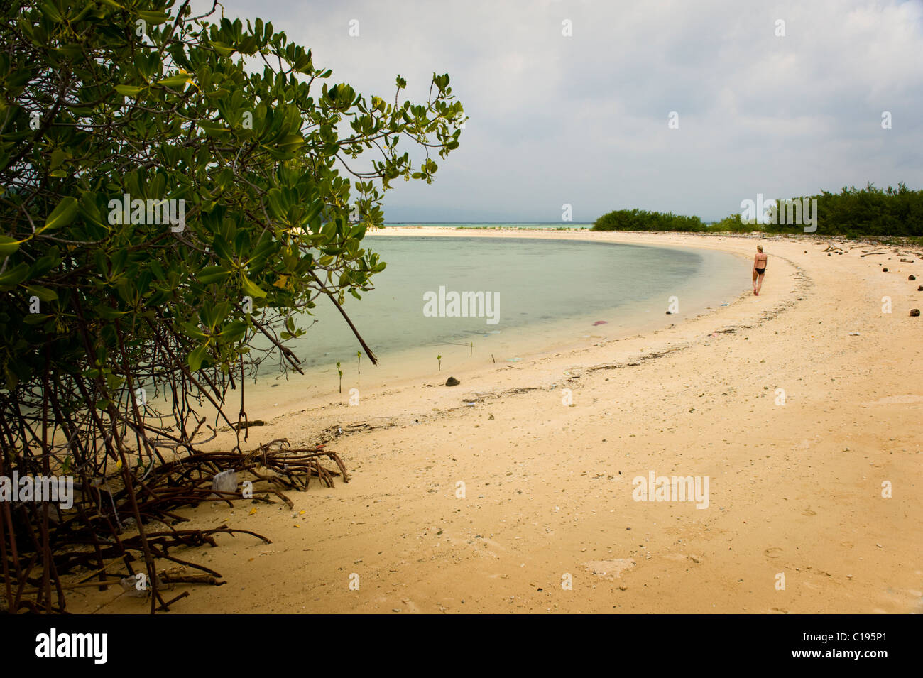 Menjangan Island is a dive destination located in the northwest corner ...