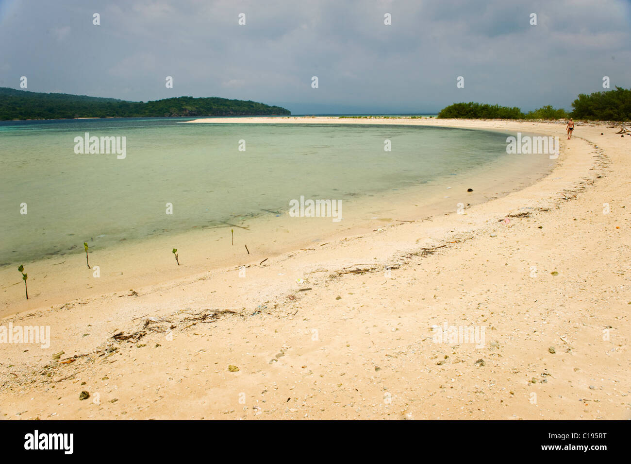 Menjangan Island is a dive destination located in the northwest corner ...