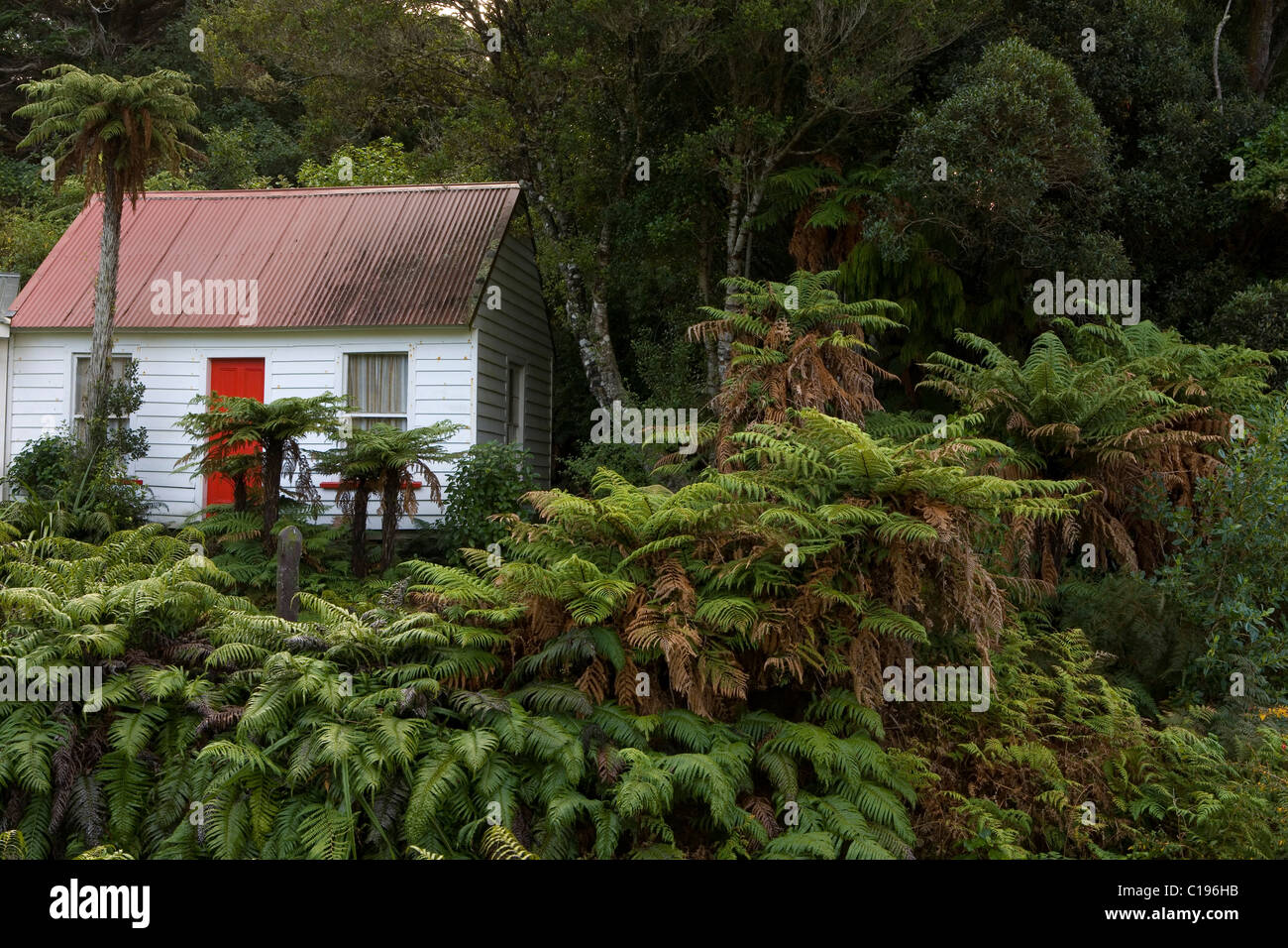 Isolated wooden hut in the rainforest of Ulva Island, New Zealand Stock ...