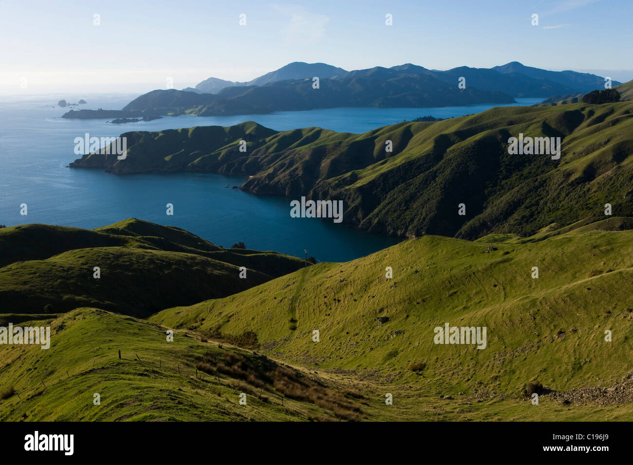 Hilly green landscape in Marlborough Sounds, Okuri Bay, Marlborough ...