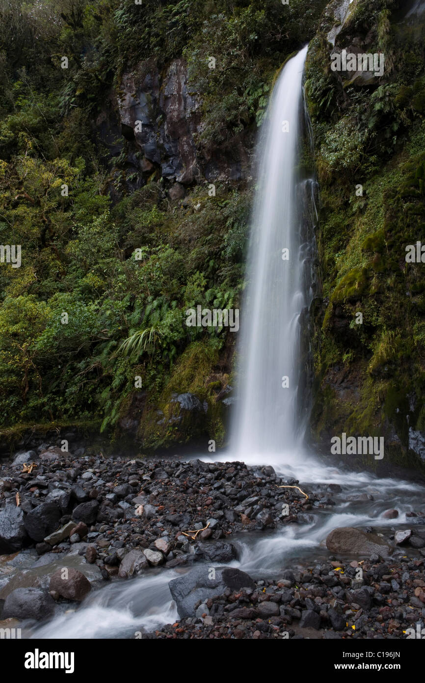 Dawson Falls, Mount Egmont, Taranaki, North Island, New Zealand Stock ...