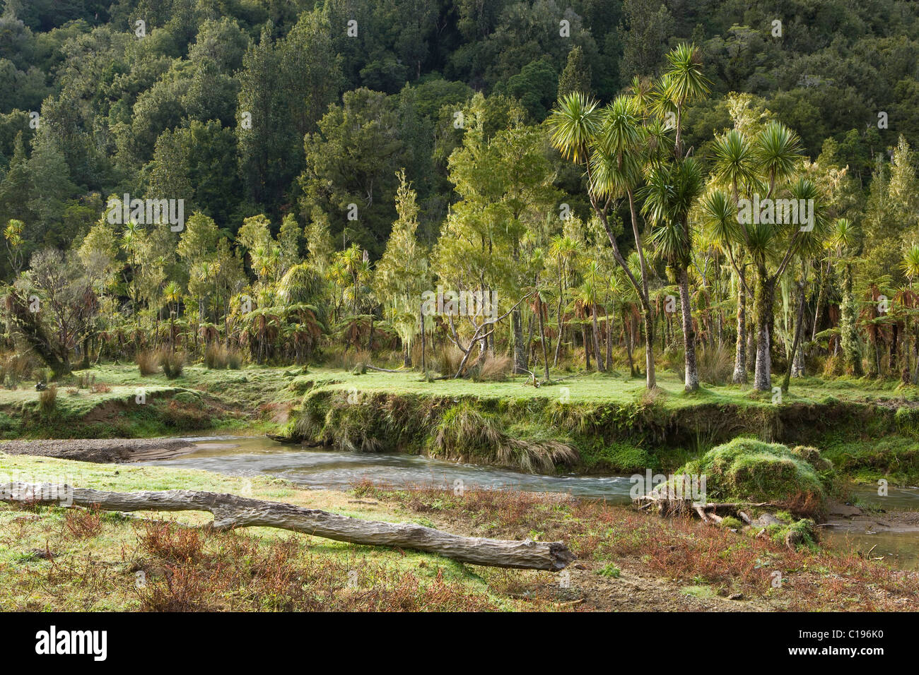 Awakino New Zealand High Resolution Stock Photography and Images - Alamy