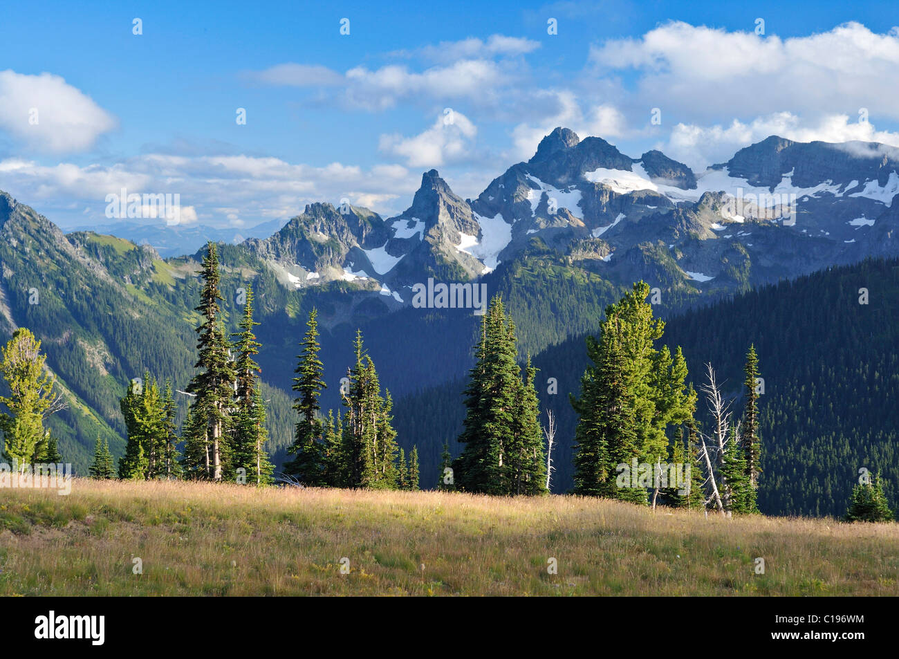 "Goat Island Mountain" range at Mount Rainier National Park, Washington ...