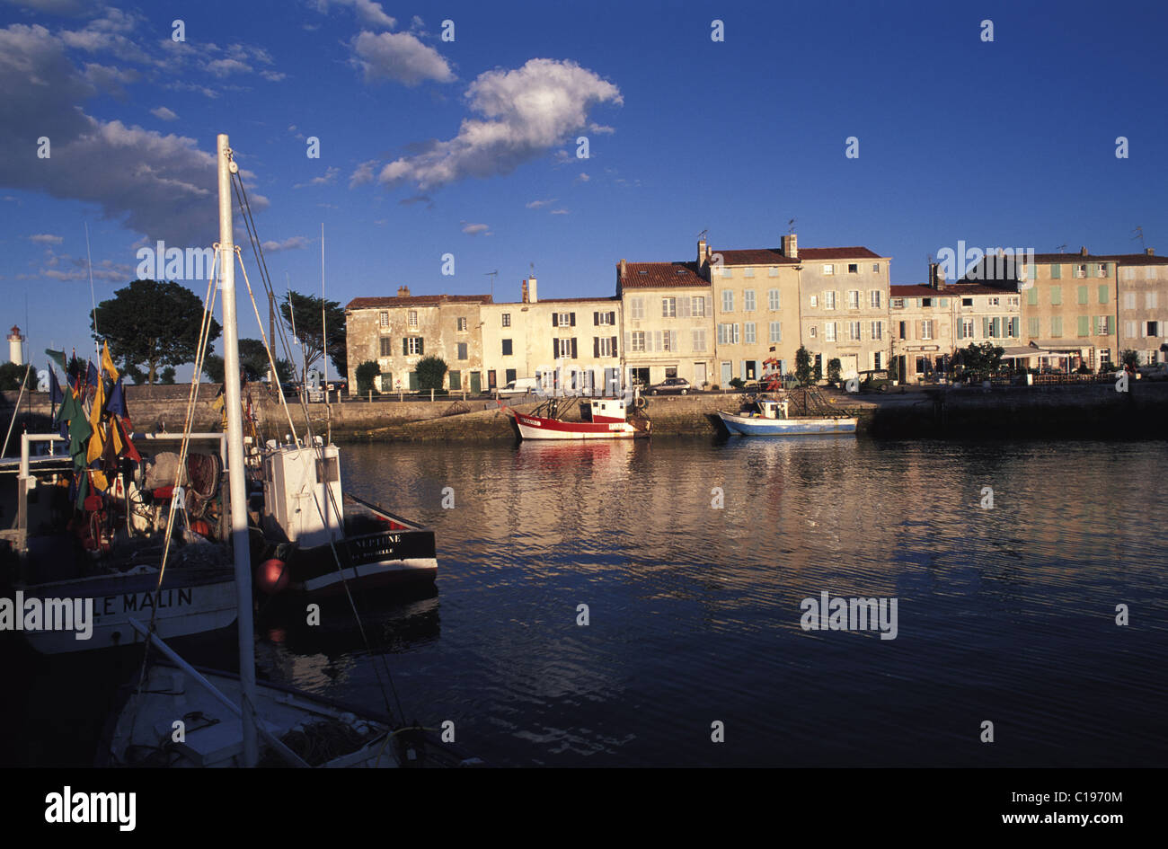 France, Charente Maritime, Re Island, town of Saint Martin, the basin ...