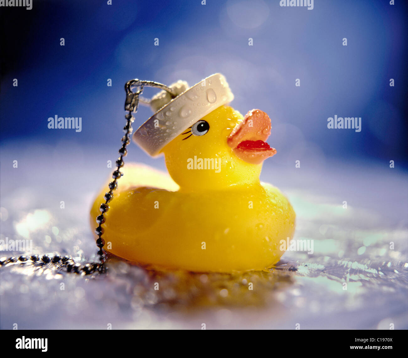 Rubber duck floating in water wearing drain stopper for hat Stock Photo ...