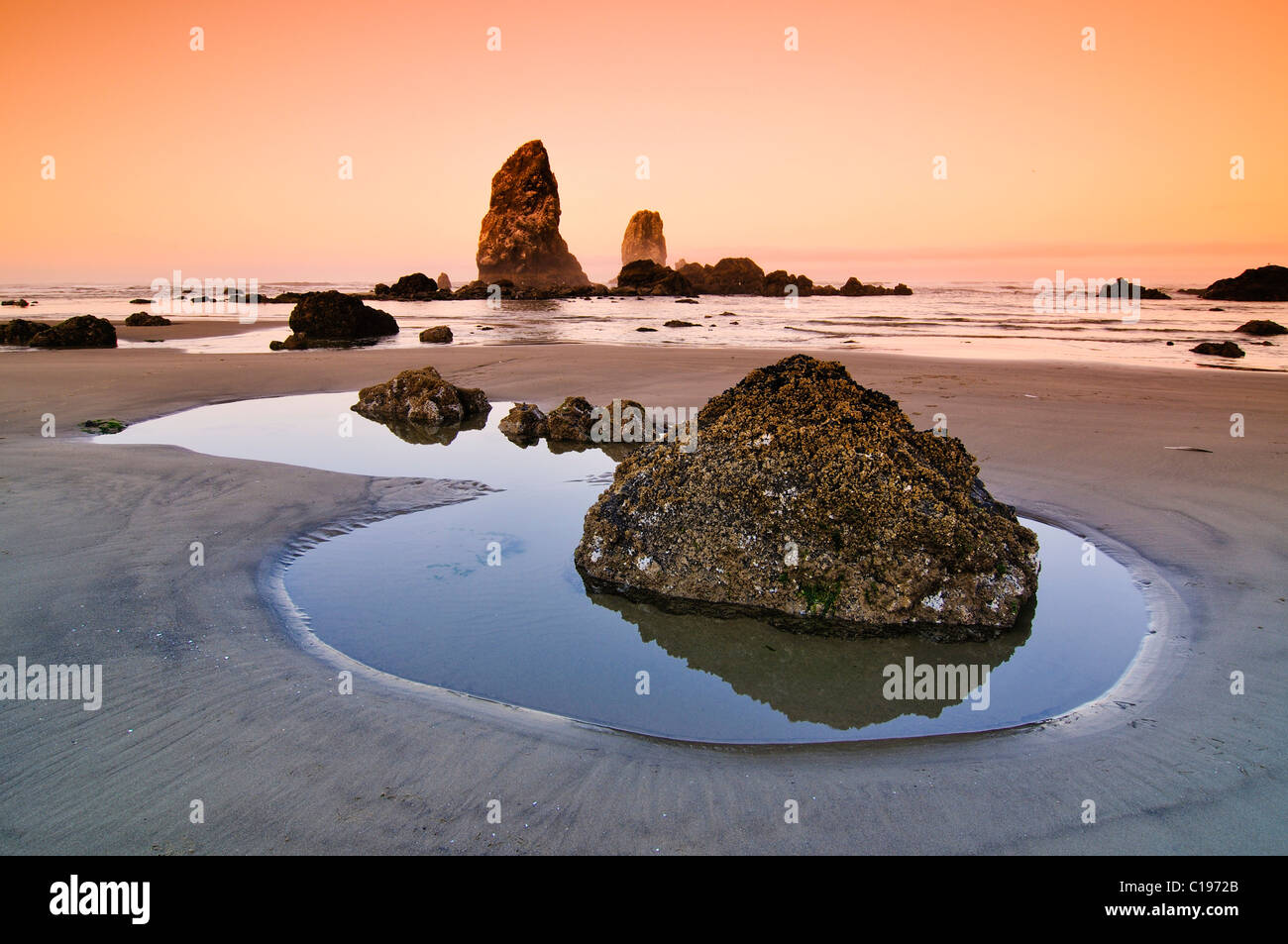 Monolith, solidified lava rock at Cannon Beach, Clatsop County, Oregon ...