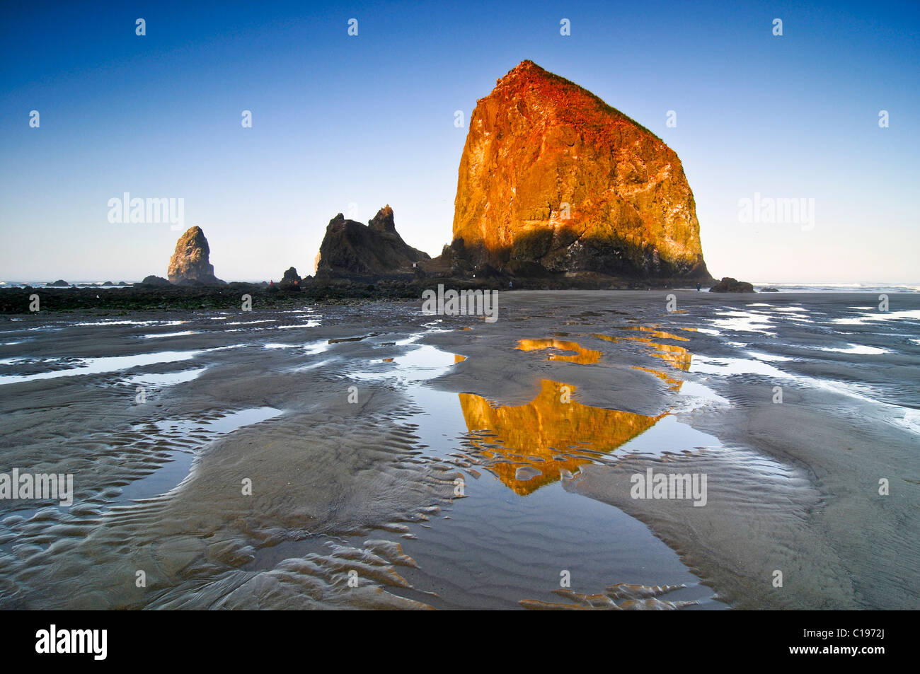Famous "Haystack Rock" monolith, solidified lava rock at Cannon Beach ...