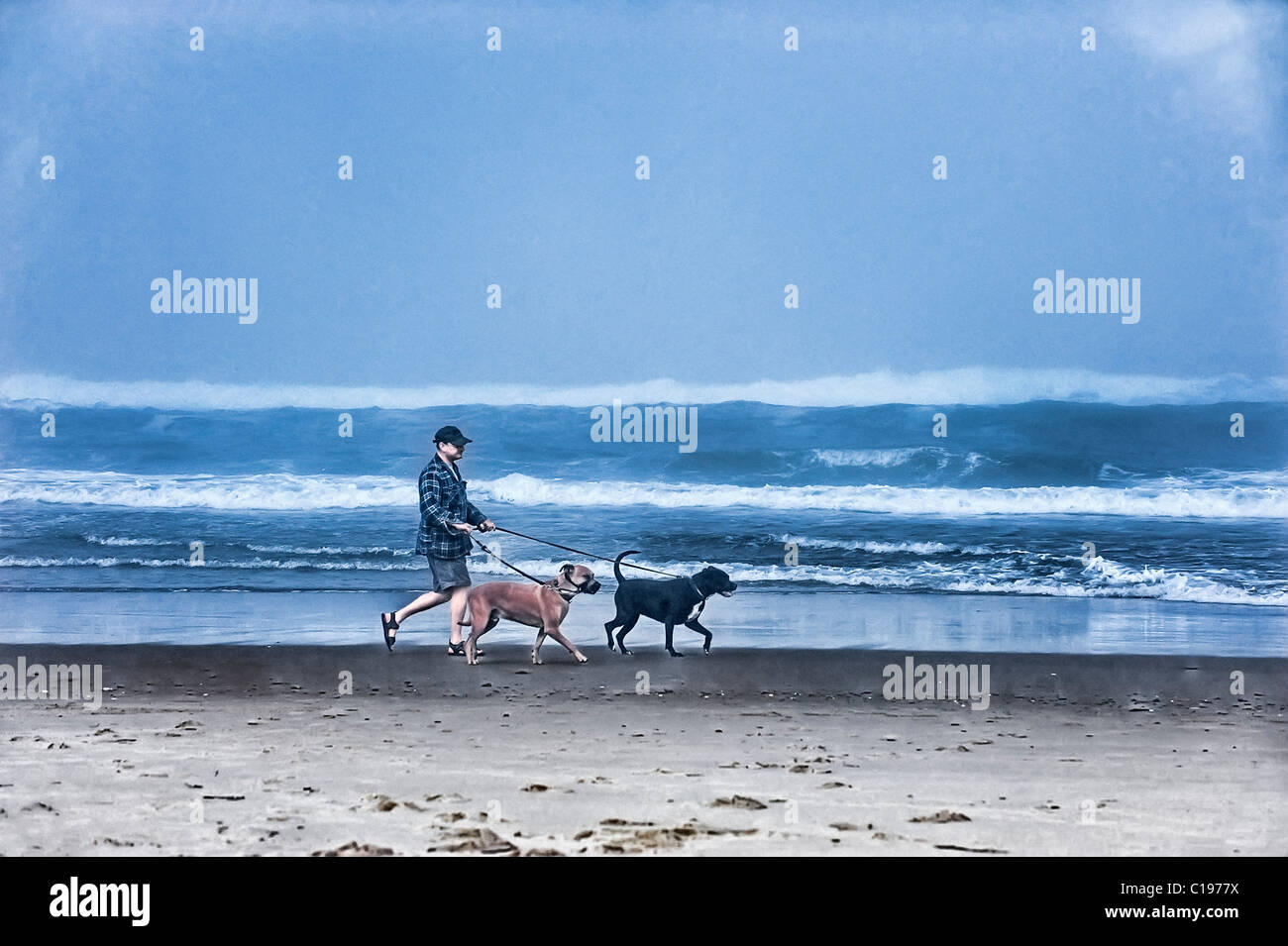 Two dogs beach leash hi-res stock photography and images - Alamy