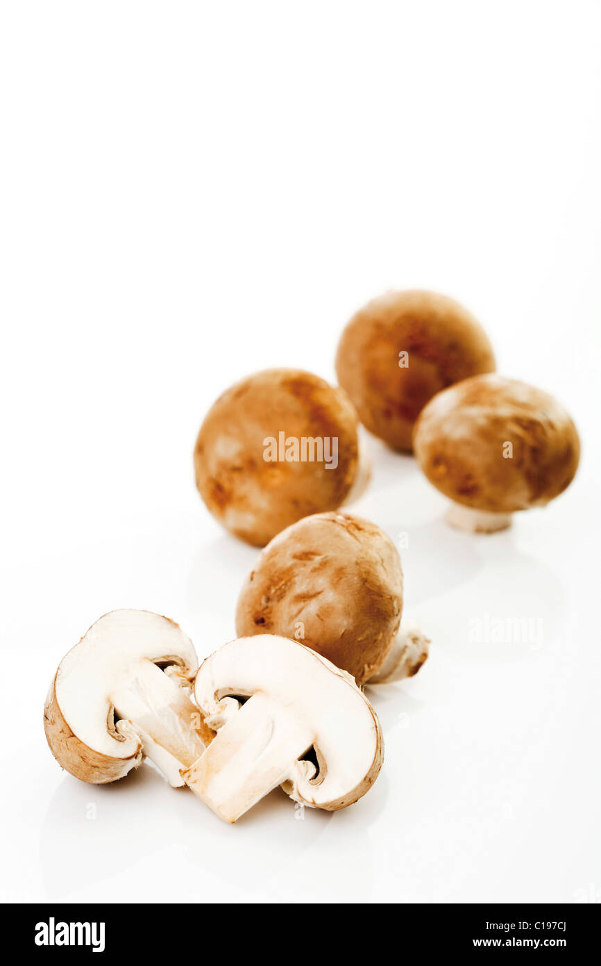 Brown button mushrooms hi-res stock photography and images - Alamy