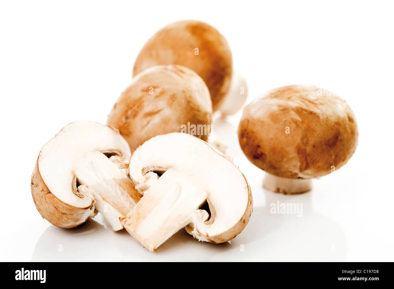 Brown button mushrooms hi-res stock photography and images - Alamy