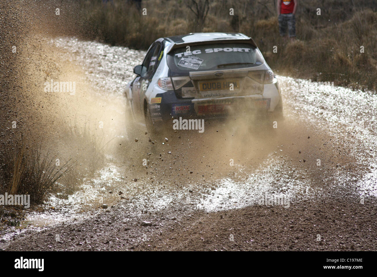Ford Fiesta ST Mk5 2011 rally car rounding bend in Wareham Forest in ...
