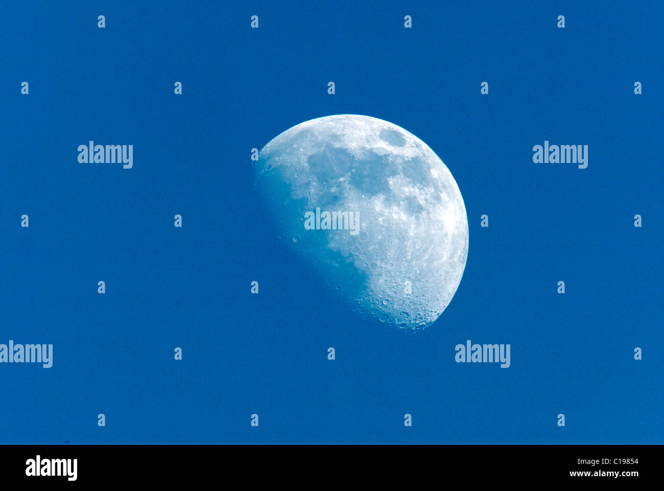 Moonstruck hi-res stock photography and images - Alamy