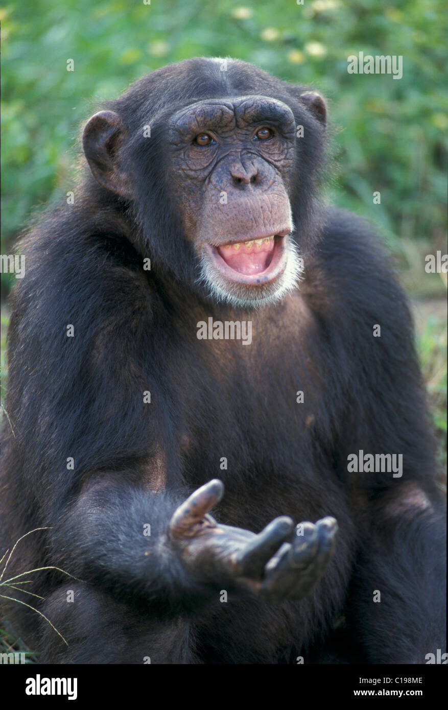 M t a hi-res stock photography and images - Alamy