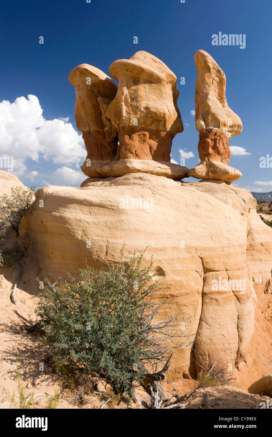 Sandstone formations in Devils Garden, Grand Staircase Escalante ...