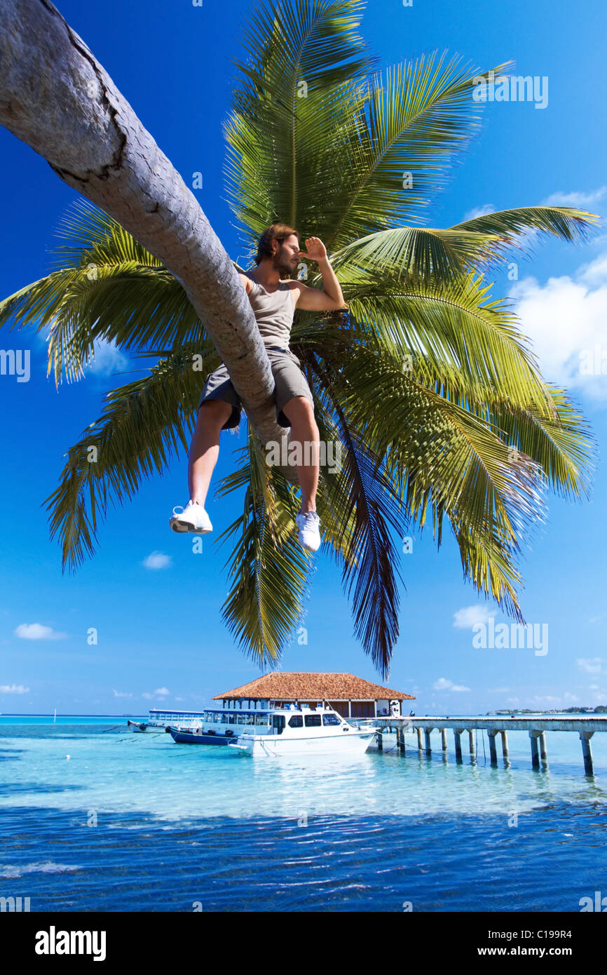 Handsome man is sitting on a palm tree Stock Photo - Alamy