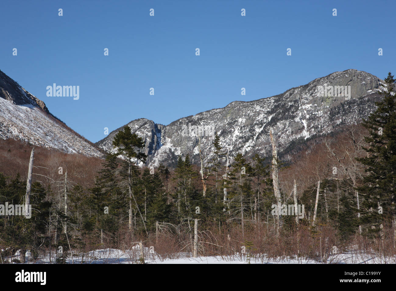Franconia Notch State Park - Eagle Cliff from the Pemi Trail in the ...