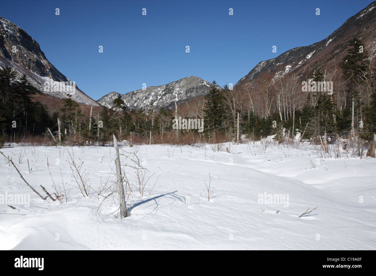 Franconia Notch State Park - Eagle Cliff from the Pemi Trail in the ...