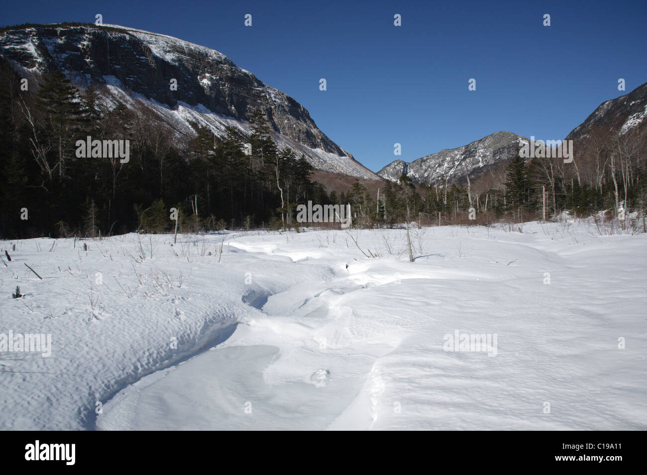 Franconia Notch State Park - Cannon Cliff which is on the side of ...