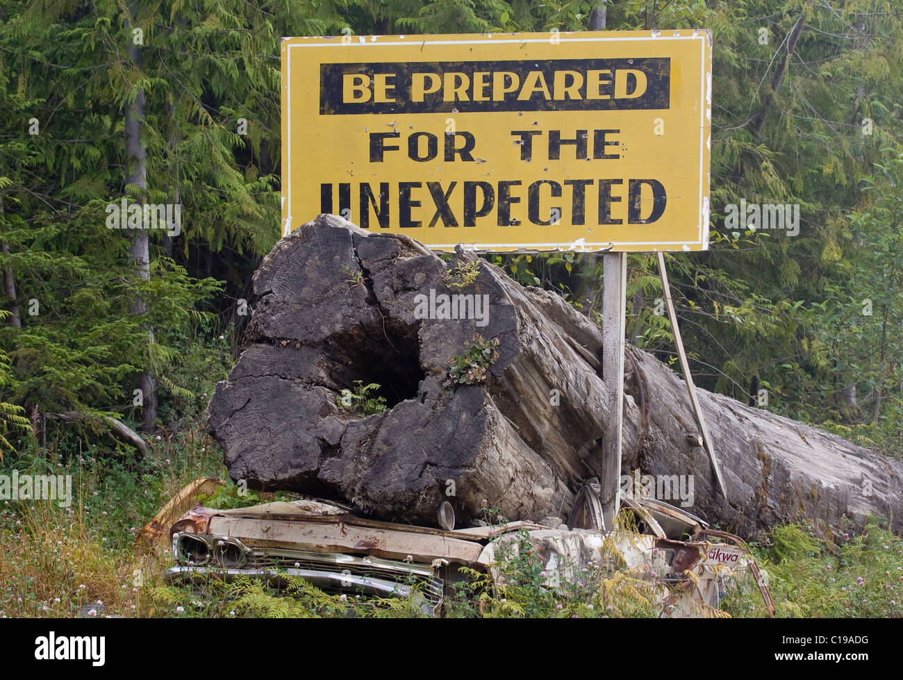 Large tree trunk flattening a car with a sign "be prepared for the ...