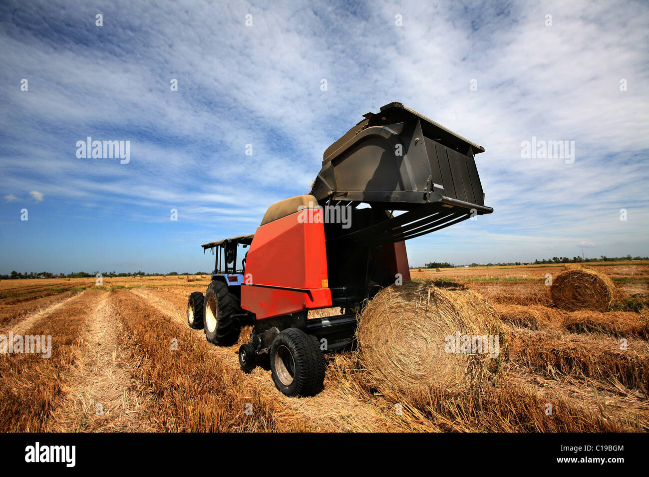 a huge tractor collecting haystack in the field in a nice blue sunny ...