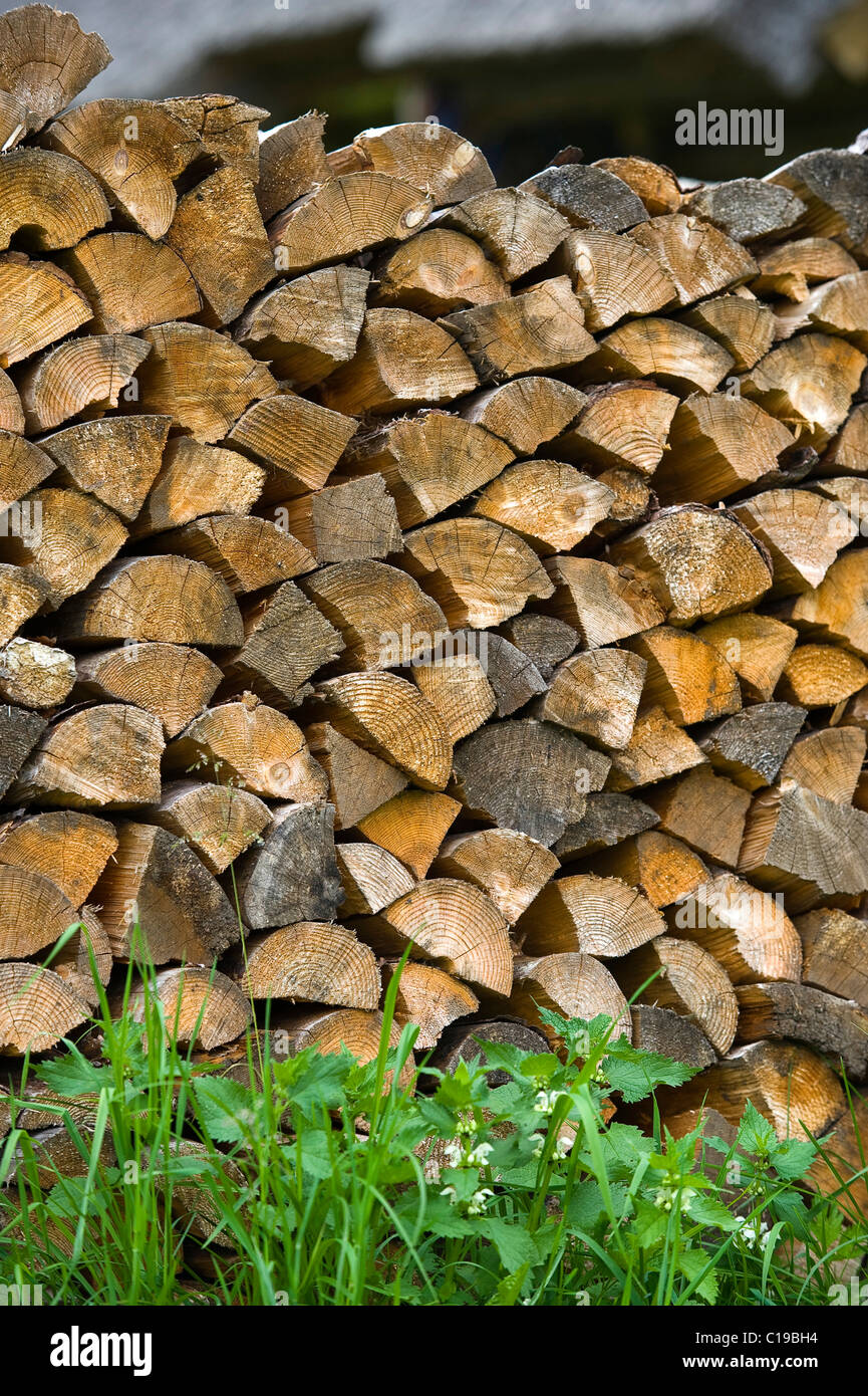 Woodpile, Tallinn, Estonia, Baltic States, Northeastern Europe Stock ...