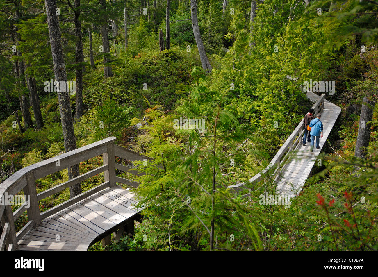 Boardwalk through the rain forest leading from the road to Long Beach ...