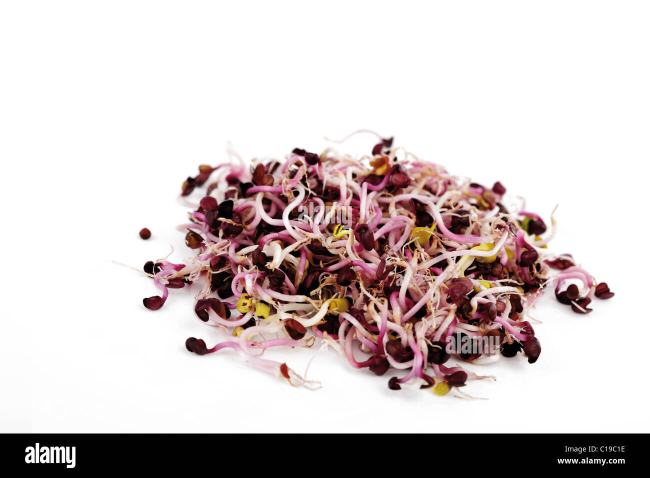 Sango Cut Out Stock Images & Pictures - Alamy