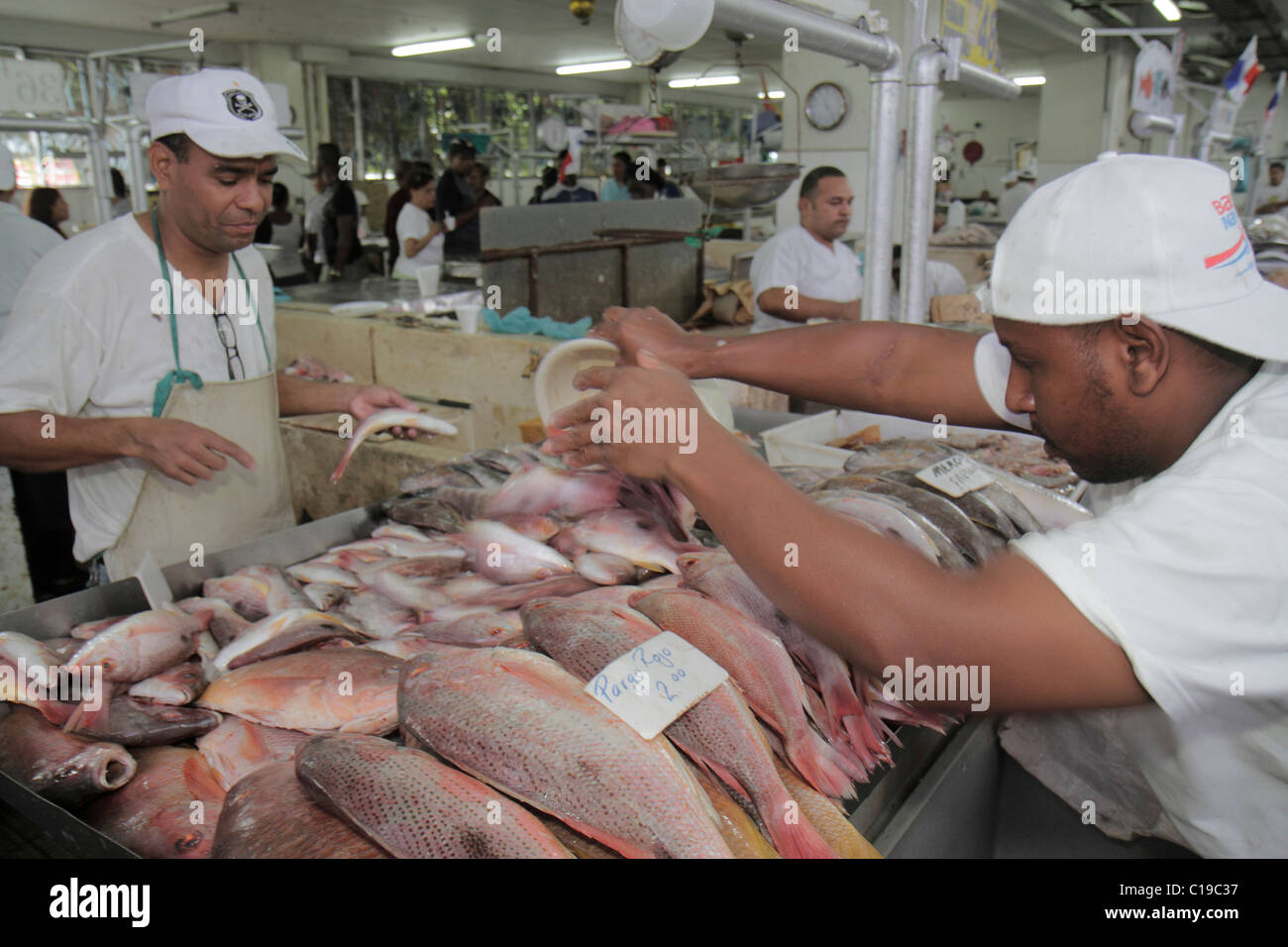 Panama,Latin,Central America,Panama City,Ancon,Mercado de Mariscos ...