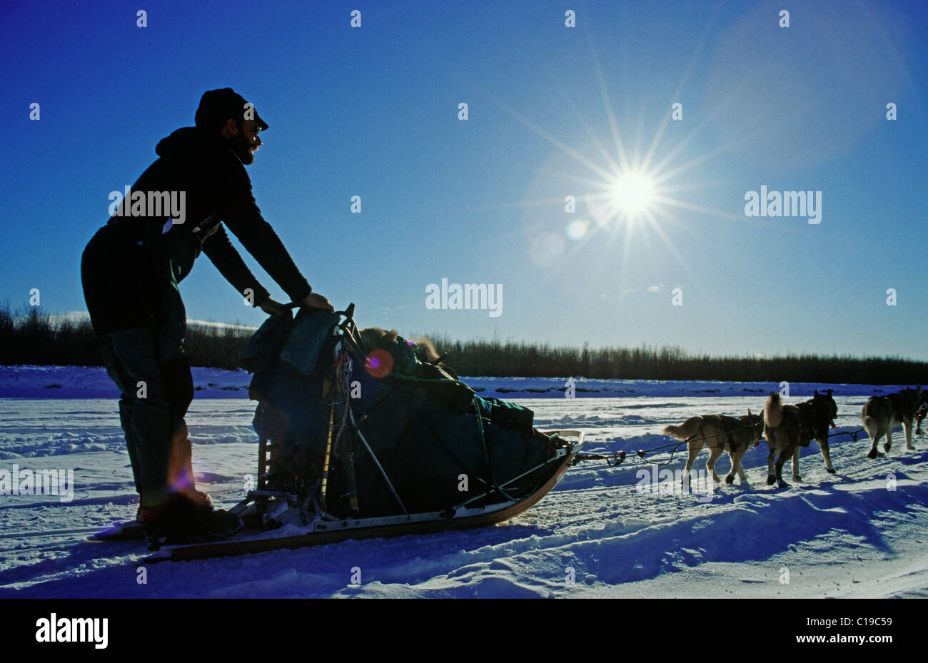 Alaska dog sleigh hi-res stock photography and images - Alamy
