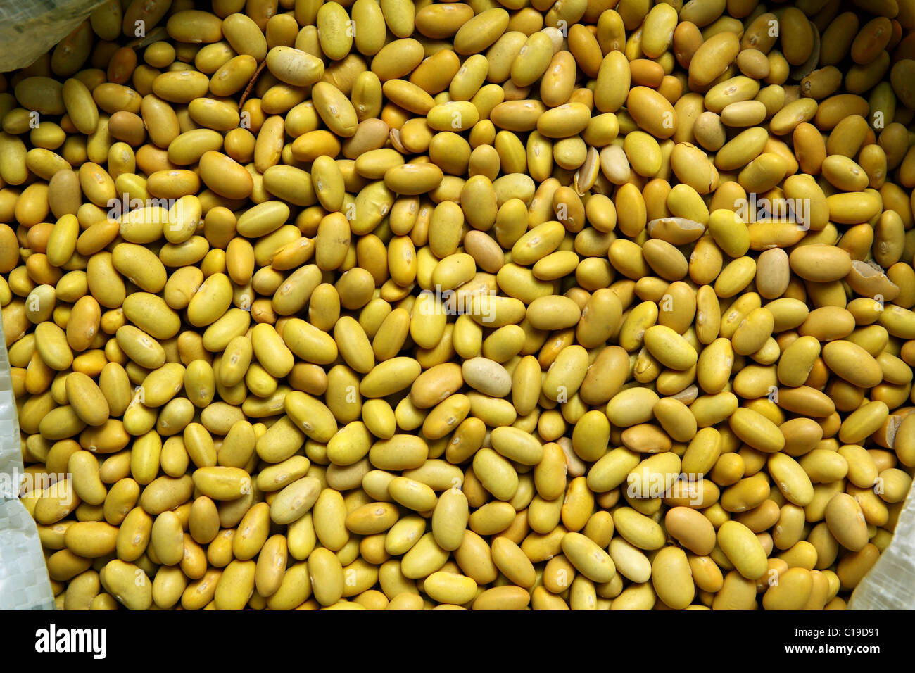 dried green beans pattern texture market background Stock Photo - Alamy